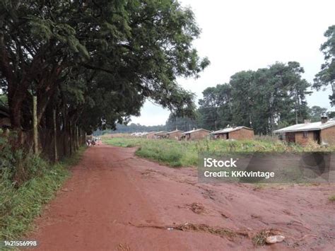말라위에는 말라위 호수 여러 국립 공원 게임 보호 구역 및 뮬란제 산을 포함한 다양한 관광 명소가 있습니다 거리에 대한 스톡 사진 및 기타 이미지 Istock