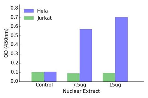 Spi1 Transcription Factor Activity Assay Tfab00102