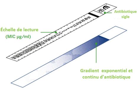 Mic Test Strip Etest Principle Reading