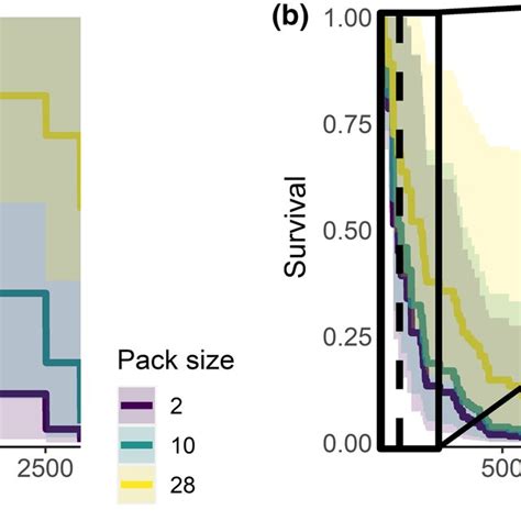 Estimated Individual Survival Rates From Mixed‐effects Cox Proportional Download Scientific