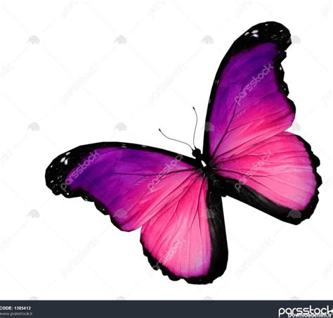 عکس های پیش زمینه پاور پوینت