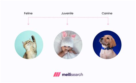 What Are Vector Embeddings A Complete Guide 2025