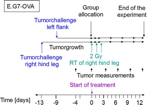 Abscopal Effects Of Radiotherapy And Combined Mrna Based Immunotherapy
