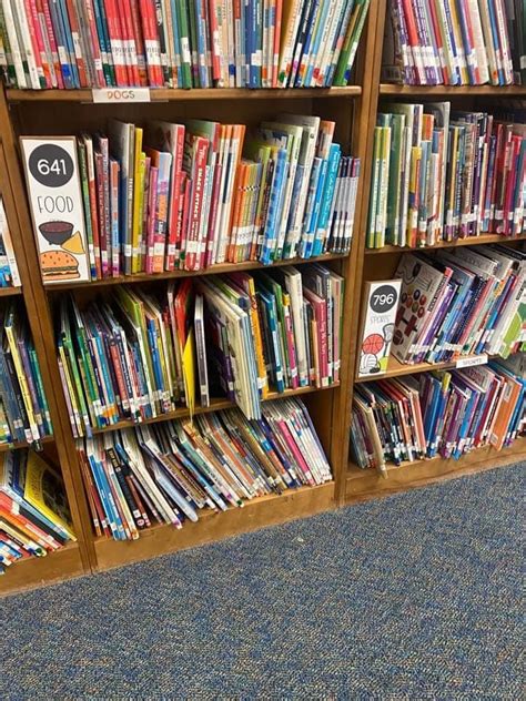 How To Set Up Your Accelerated Reader Library By Someone Who Learnt