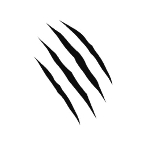 Scratch Template Vector Digital Animation Png