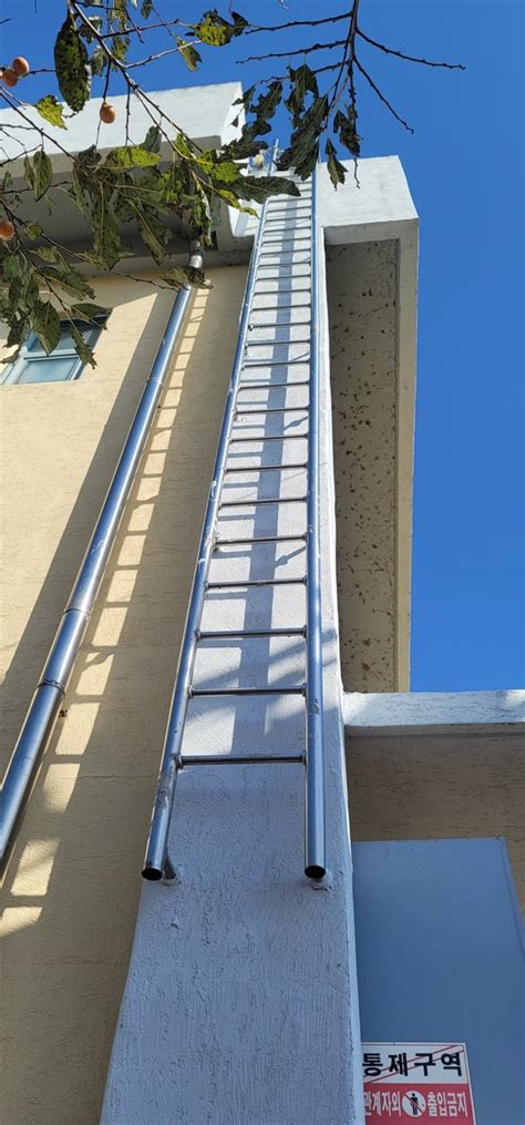 사다리 연장 등받이 방호울 설치로 학교 시설물 보수 네이버 블로그