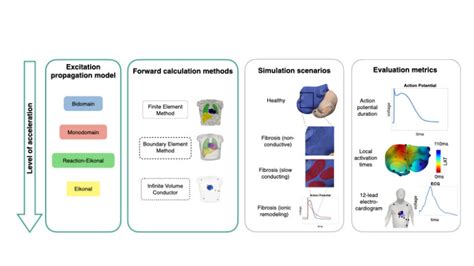 Comparison Of Propagation Models And Forward Calculation Methods On