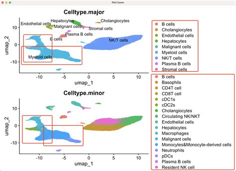 一行代码就能发生信顶刊的gptcelltype做单细胞亚群注释 生信菜鸟团