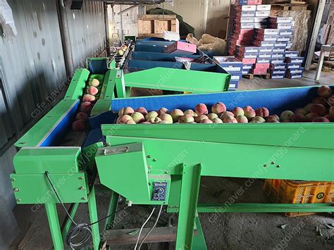 복숭아 선별기 농기계농업용공구 중고나라