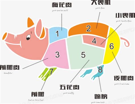 猪肉分割部位图png图片素材下载分割png熊猫办公
