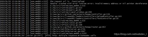Golang叠加重复组合handler Crashed With Error Runtime Error Invalid Memory Address Or Nil Pointer