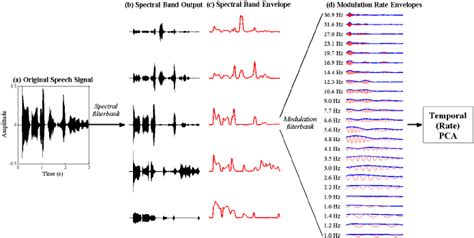 Signal Processing Steps Prior To Temporal Rate Pca The Original