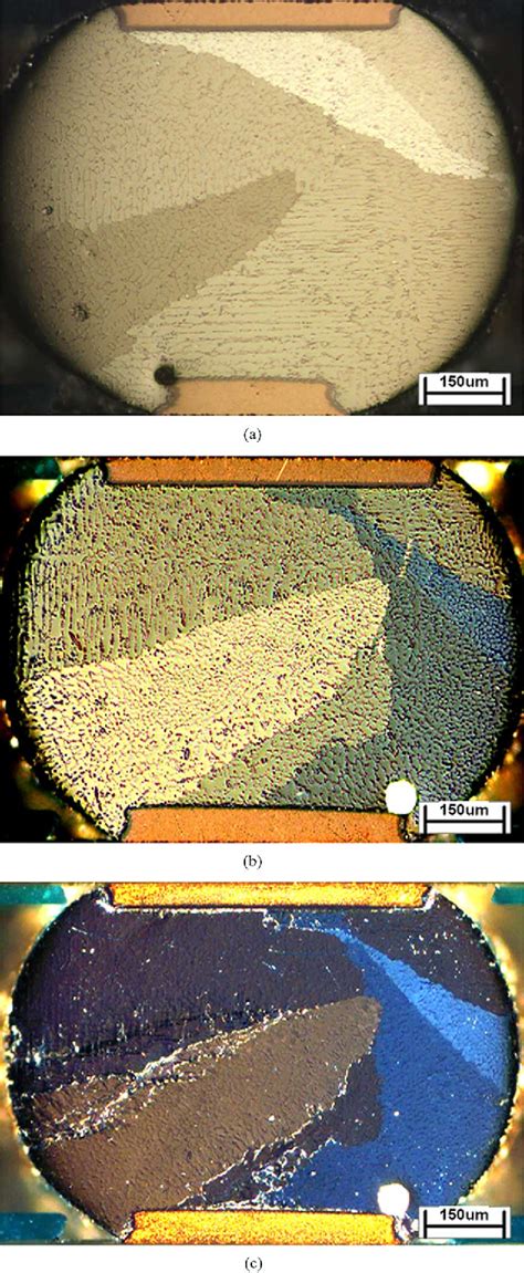 Figure 5 From Grain Deformation And Strain In Board Level Snagcu Solder Interconnects Under Deep