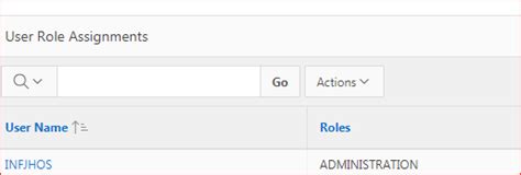 Oracle Apex Using Application Access Control And User Role Assignments