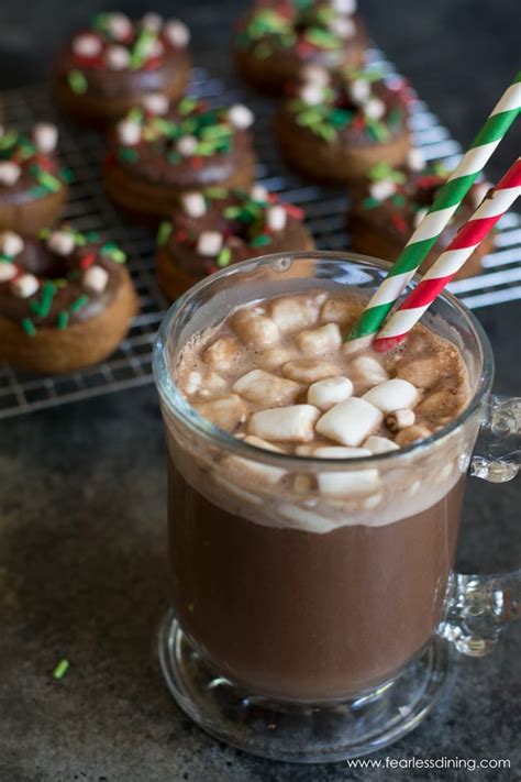 Easy Gluten Free Hot Chocolate Donuts Fearless Dining