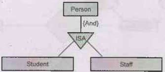 Enhanced ER Model Databases Design Database Management System