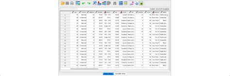 Ibm Spss Statistics Data Editor