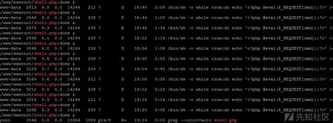 网页篡改应急响应 先知社区