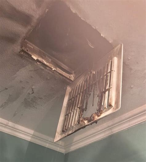 Odd Finds And Situations 13 Pics