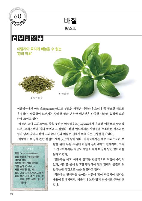 알라딘 미리보기 알면 더 맛있는 허브 사전