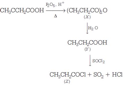 H 3 Cch 2 Co 2 H UndersetΔ Stackrel P 2 O 5 Longrightarrow X Stackrel H 2 O Longrightarrow Y