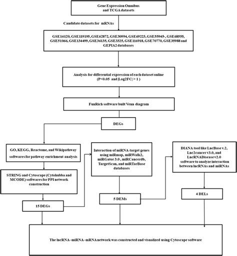 A Flowchart Diagram For Analyzing Bioinformatics Data Download