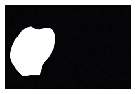 The Segmentation Results Of The Phase Fusion Pspnet And Double Download Scientific Diagram