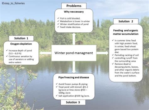 Problem And Its Required Solution Dissolved Oxygen D O Download Scientific Diagram