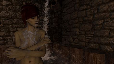 NOLVUS SKYRIM AE Modding Guide Survival Needs Nolvus Ascension