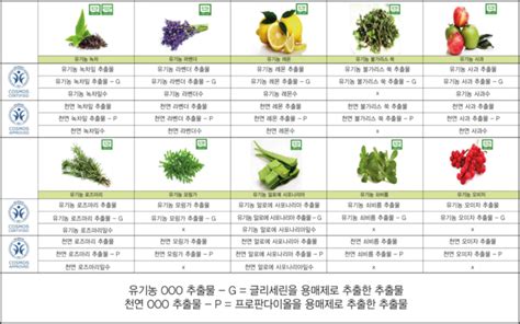 온시 유기농 천연화장품 원료 시장 집중공략