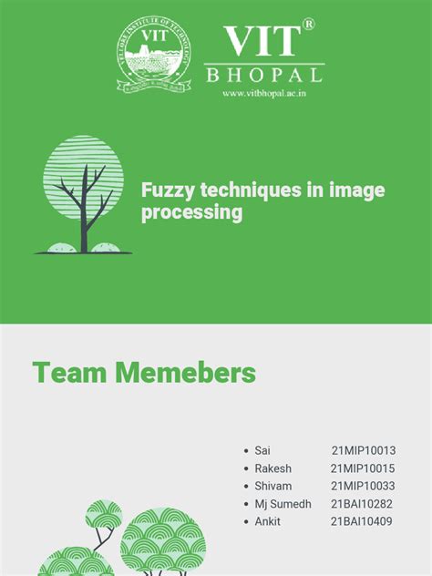 group 13 fuzzy techniques in image processing pdf fuzzy logic