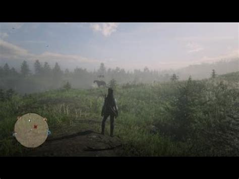Фиолетовый подснежник🍃 ️ - YouTube