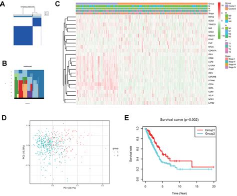 Seven Interferon Gamma Response Genes Serve As A Prognostic Risk Signature That Correlates With