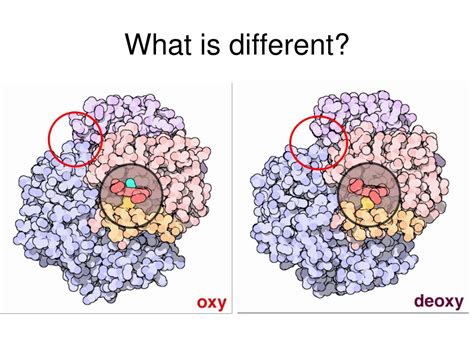 Ppt Strings To Blobs Powerpoint Presentation Free Download Id2128188