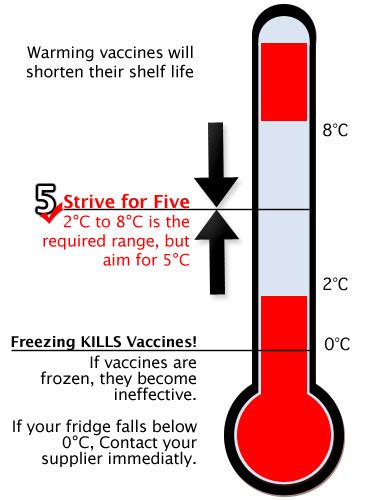 Vaccine Temperature Vaccine Temperature