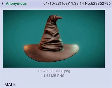 What Type Of Magic Does The Sorting Hat Have R Wizardposting