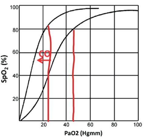 Exam Review Questions Flashcards Quizlet