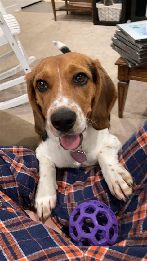 Come On Dad Throw The Ball Scrolller