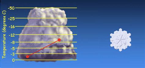 Do You Want To Build A Snowflake Afterbabe Network