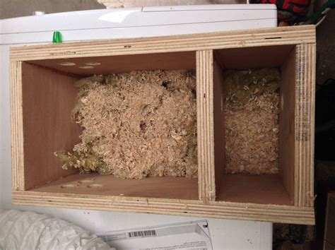Build A Nest Box For Bumblebees 5 Steps With Pictures Instructables