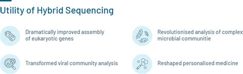 Hybrid Sequencing The Future Of Accurate And Complete Genome Assembly