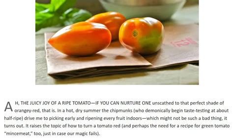 20 Blog Post Examples To Inspire And Kickstart Your Creativity