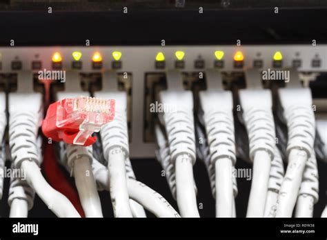 Ethernet Cables Connected To Switch Stock Photo Alamy