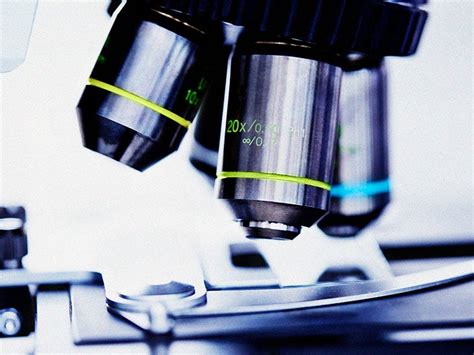 Cll And Sll Differences And Overlap Explained