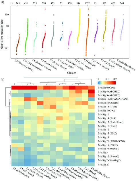 Mutation Analysis Of Ml Clusters A Non Silent Mutation In Each