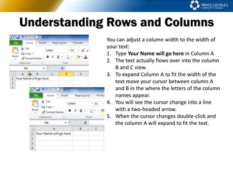 Ppt Excel The Basics Powerpoint Presentation Free Download Id6497027