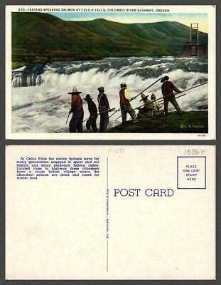 Oregon Columbia River Vintage Postcard Ebay