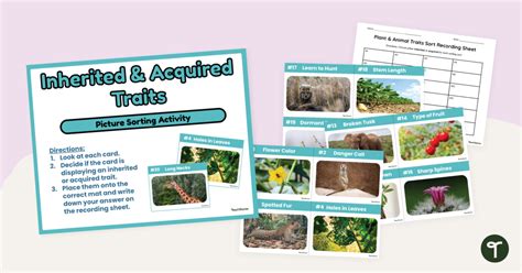 Acquired Or Inherited Trait Sort Teach Starter