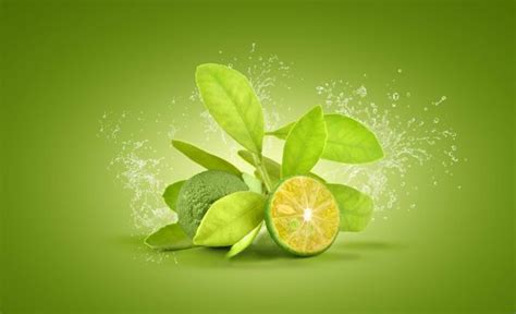 Background Green Lemon Pics Myweb