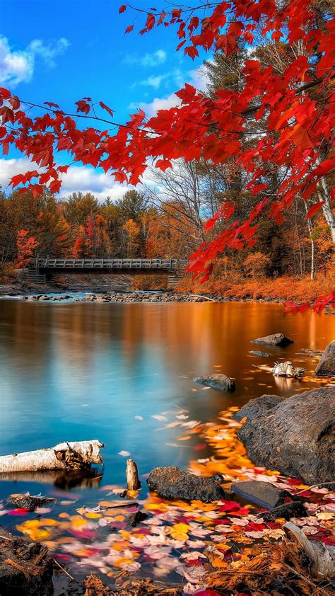 100 Nature Vertical Wallpapers